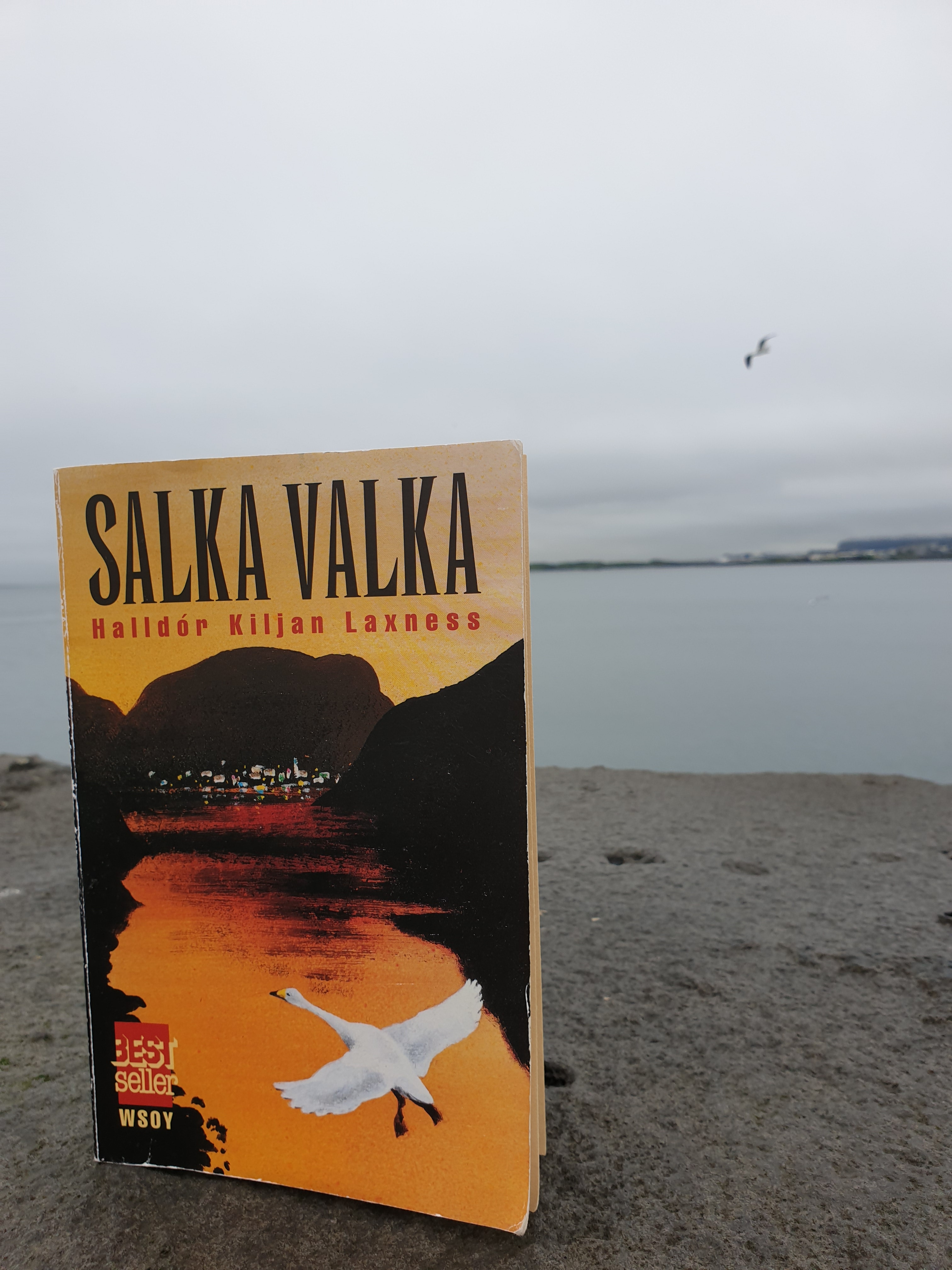 Halldór Kiljan Laxness: Salka Valka. Klassikkohaaste 9 | Tuijata ...